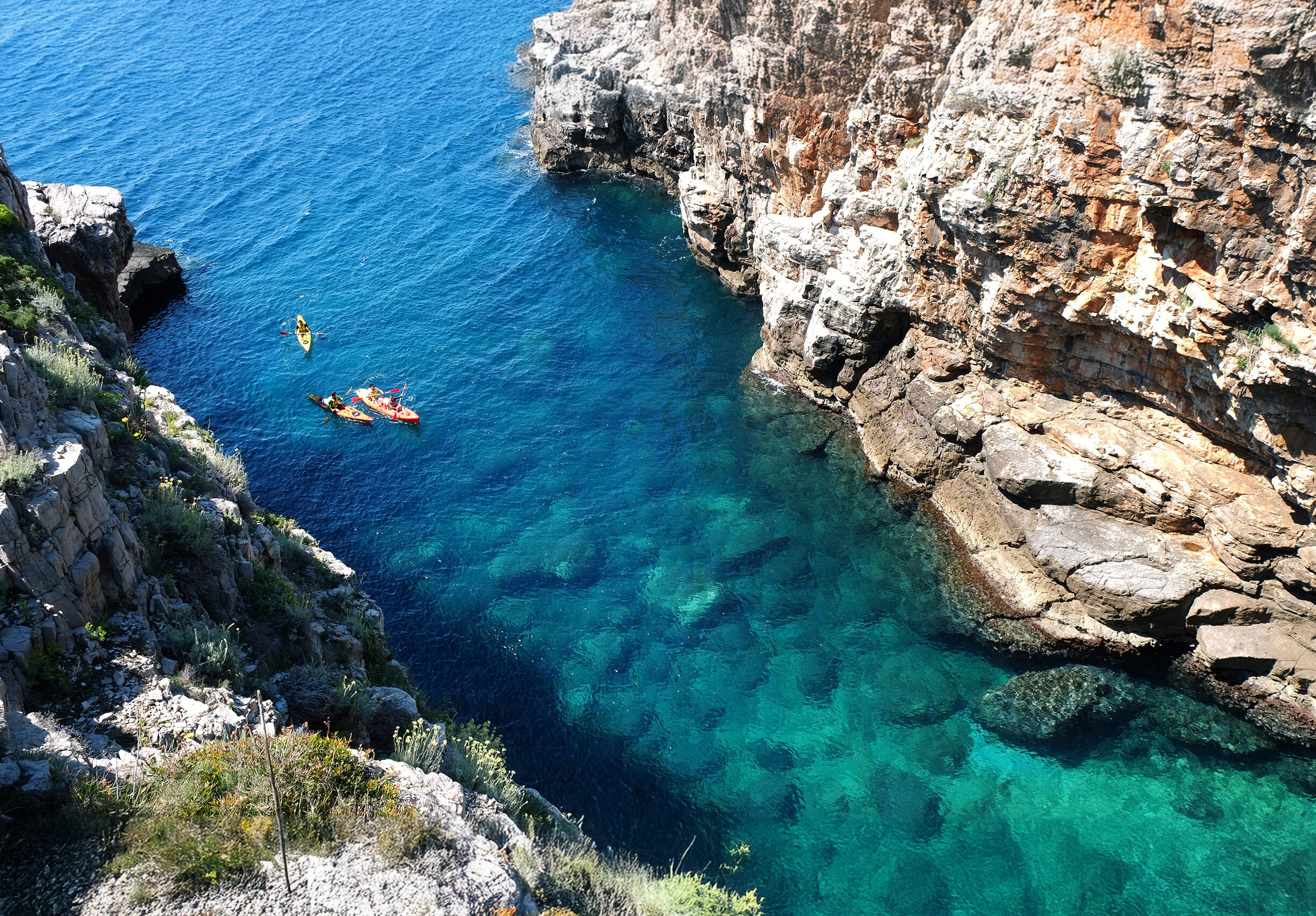 Home - IntervalWorld